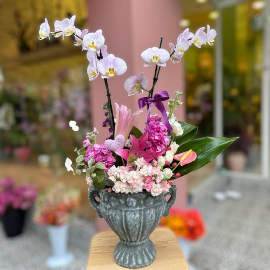 Orkide - Çiçek - Pollyanna Flowers